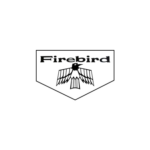 Firebird Floormats: Classic Car Interior