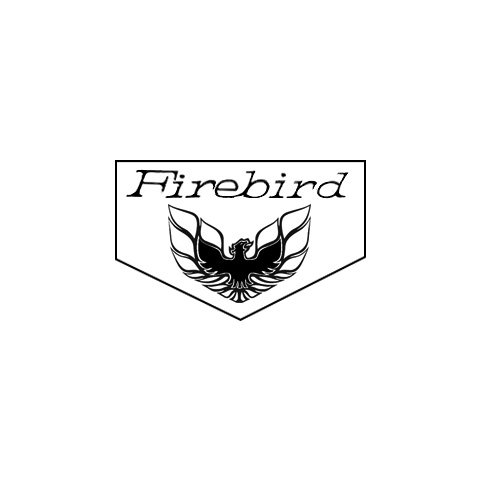 Firebird Floormats: Classic Car Interior