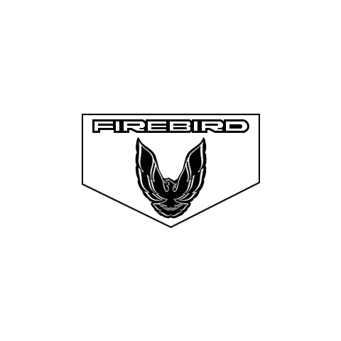 Firebird Floormats: Classic Car Interior