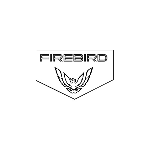 Firebird Floormats: Classic Car Interior