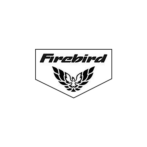 Firebird Floormats: Classic Car Interior